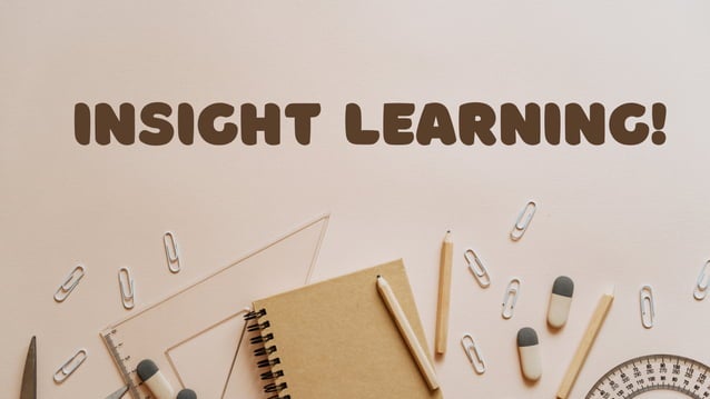 CHAPTER 6 LEARNING(human behavior) | PDF | Science