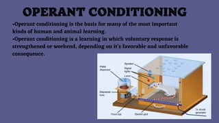 CHAPTER 6 LEARNING(human behavior) | PDF