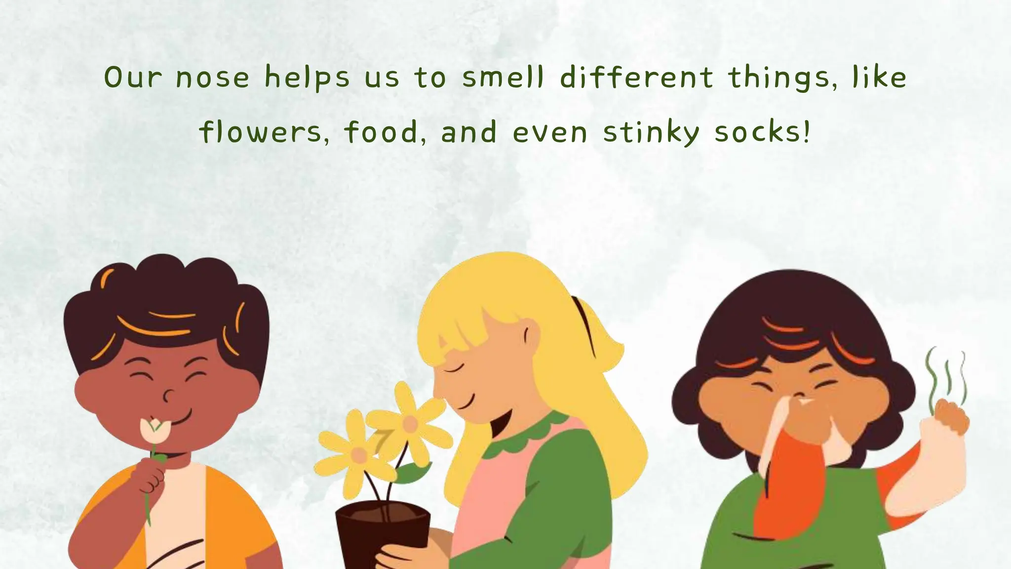 Colorful Illustrative Exploring Our Five Senses English Educational ...