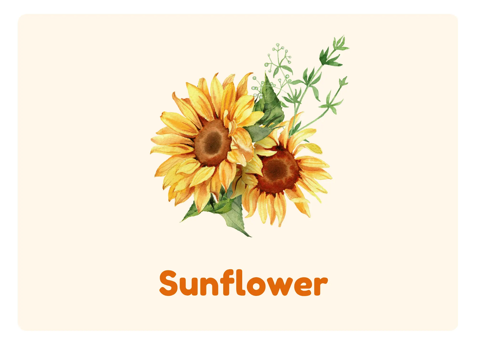 Colorful Illustrative Type of Flowers Flashcard.pdf