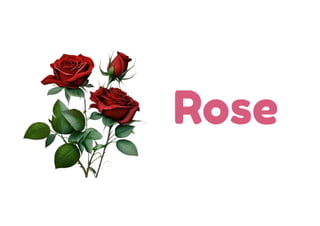 Colorful Illustrative Type of Flowers Flashcard.pdf