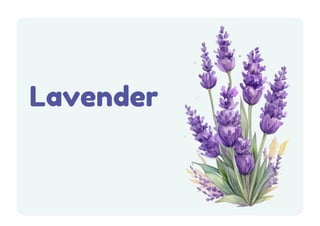 Colorful Illustrative Type of Flowers Flashcard.pdf