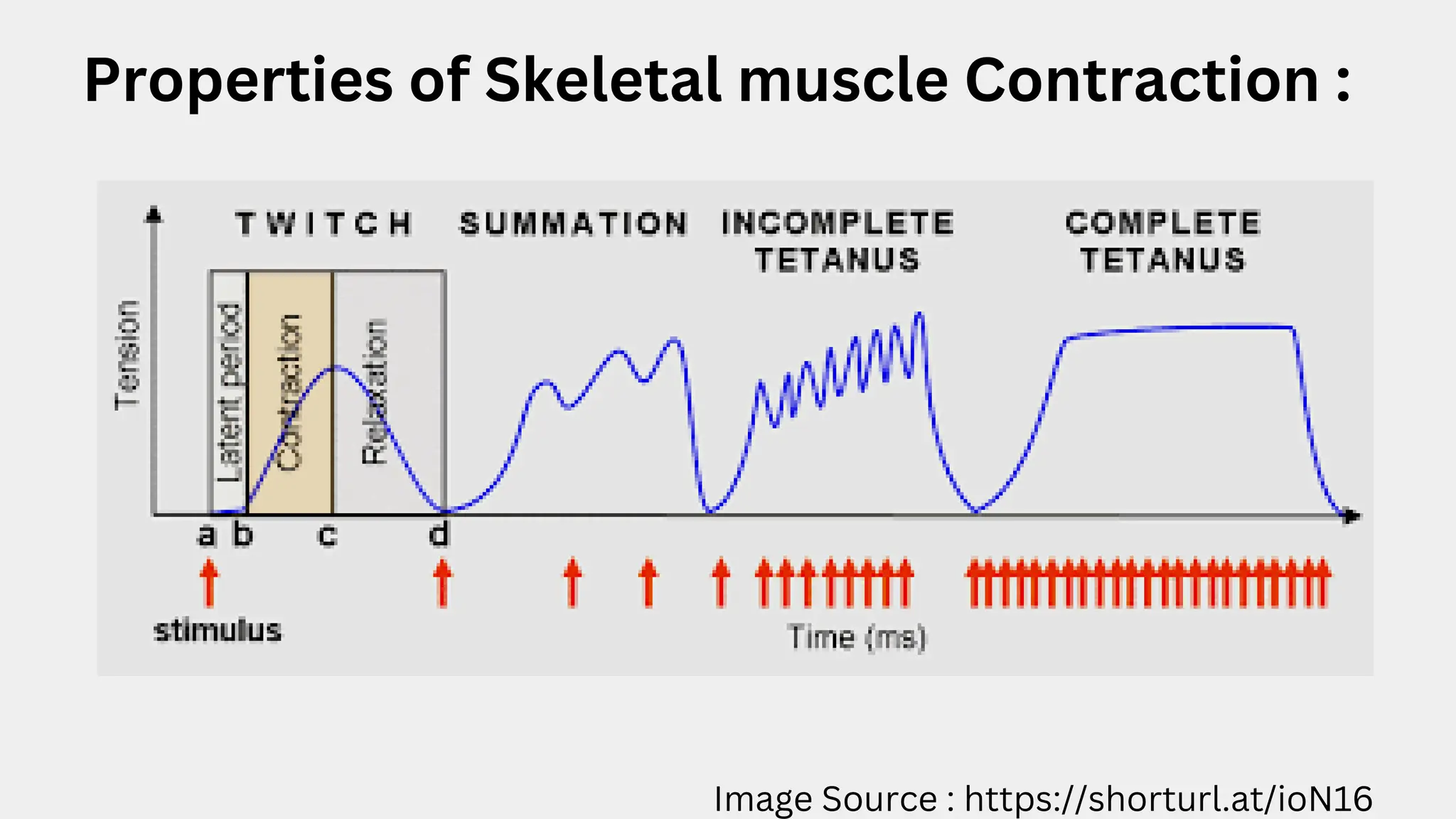 Fasciculation , Fibrillation , clonus and Tetanic contractions | PDF ...