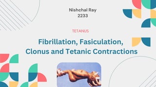 Fasciculation , Fibrillation , clonus and Tetanic contractions | PDF