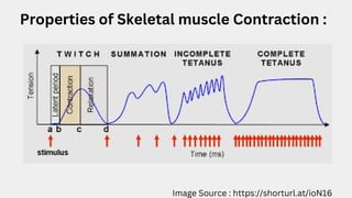 Fasciculation , Fibrillation , clonus and Tetanic contractions | PDF