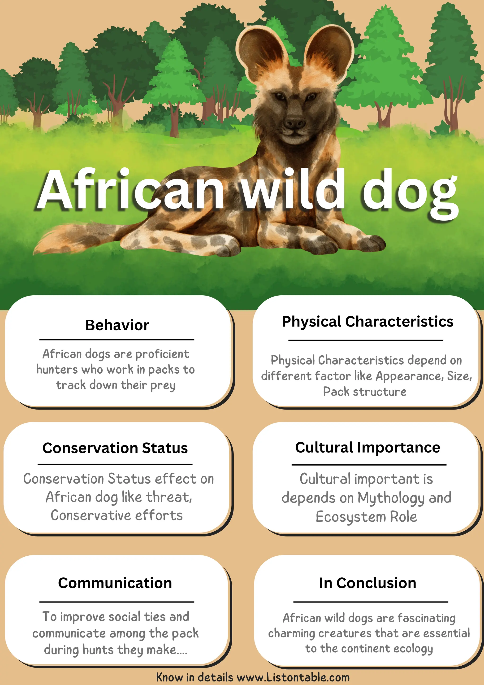 African Wild Dog - All characteristics and information about African ...