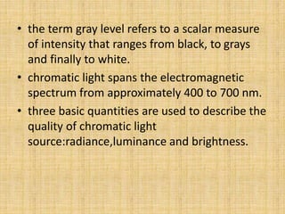 Color fundamentals | PPTX