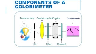 Colorimeter | PPTX