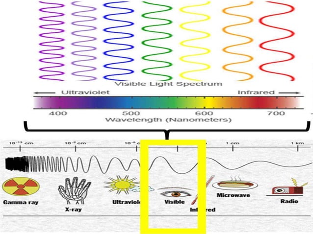 Colorimetry and spectroscopy | PPTX | Graphics Software | Computer ...