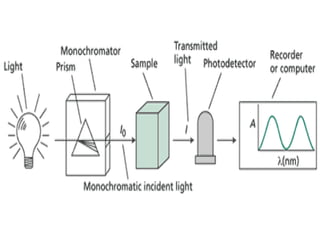 Colorimetry and spectroscopy | PPTX