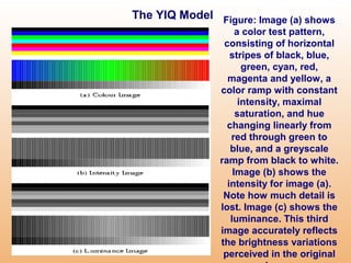 Coloring | PPT