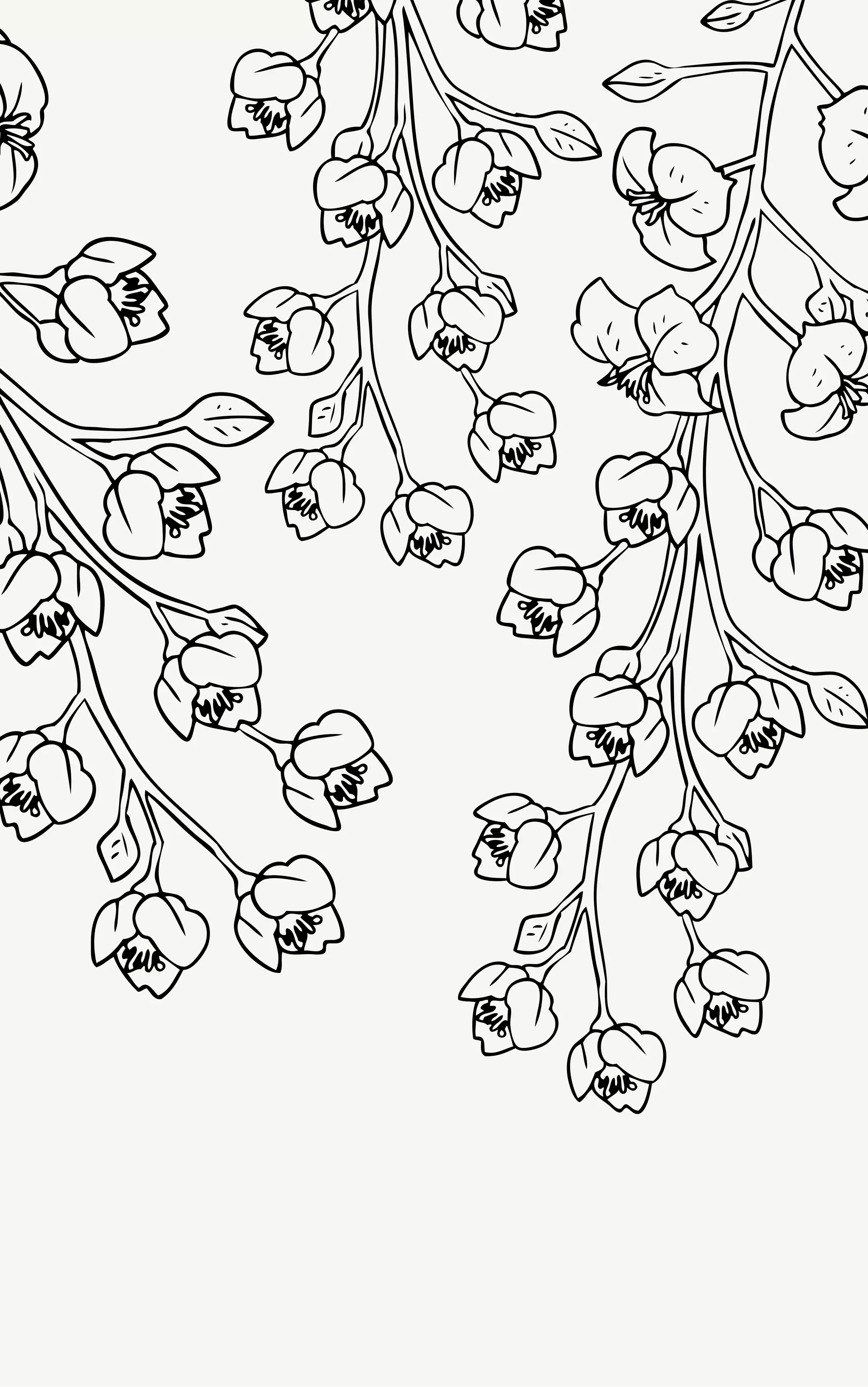 Coloring Book Example | PDF