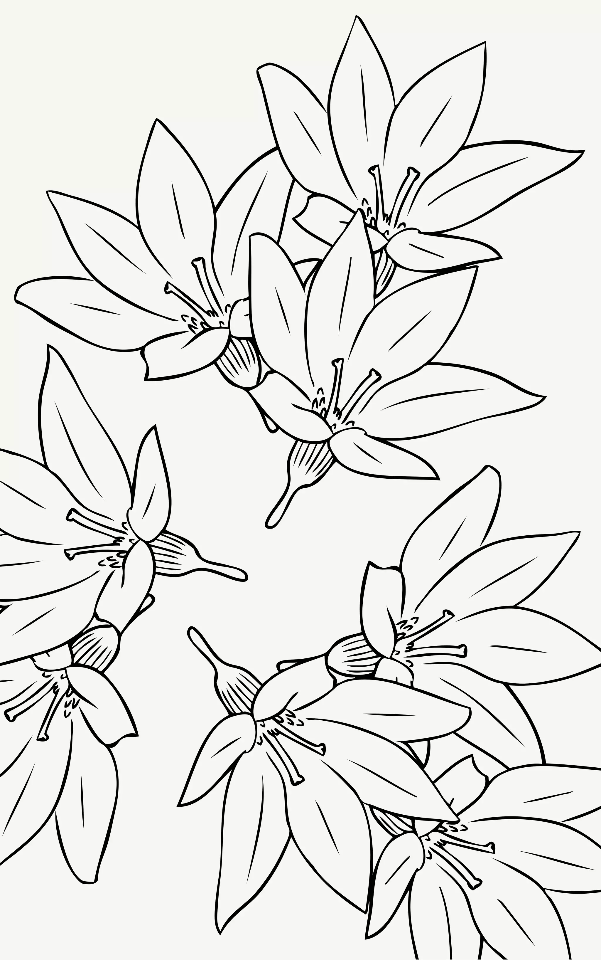 Coloring Book Example | PDF