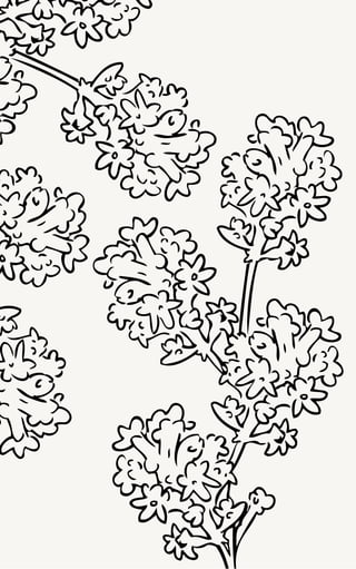 Coloring Book Example | PDF