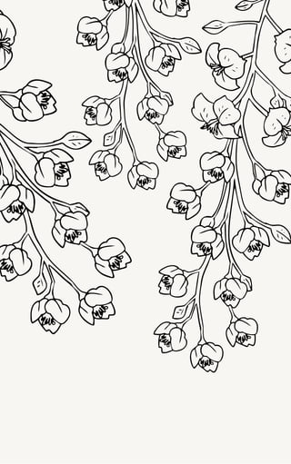 Coloring Book Example | PDF