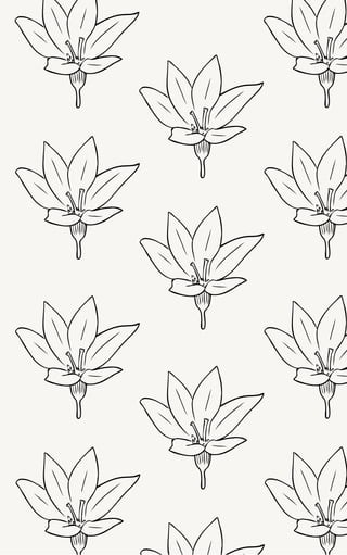 Coloring Book Example | PDF