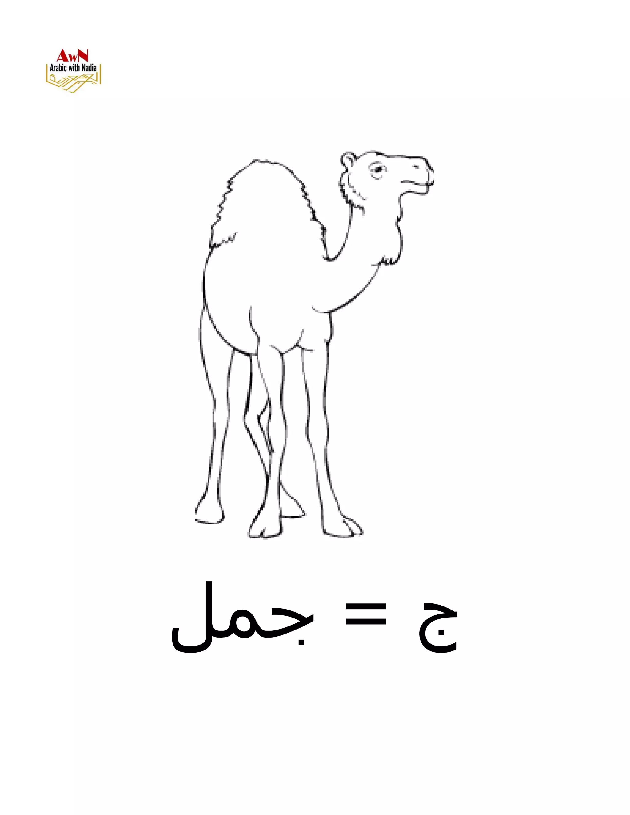 AWN Alphabet coloring book | PDF