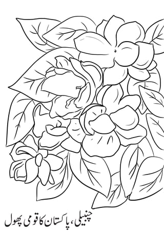 Knowledge about Pakistan Colouring book for kids | PDF