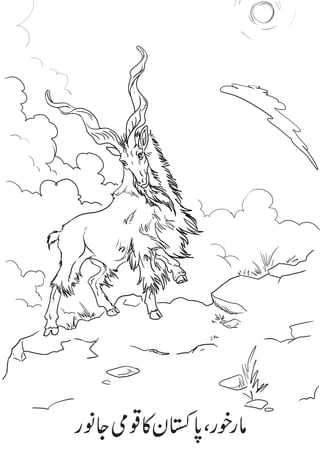 Knowledge about Pakistan Colouring book for kids | PDF