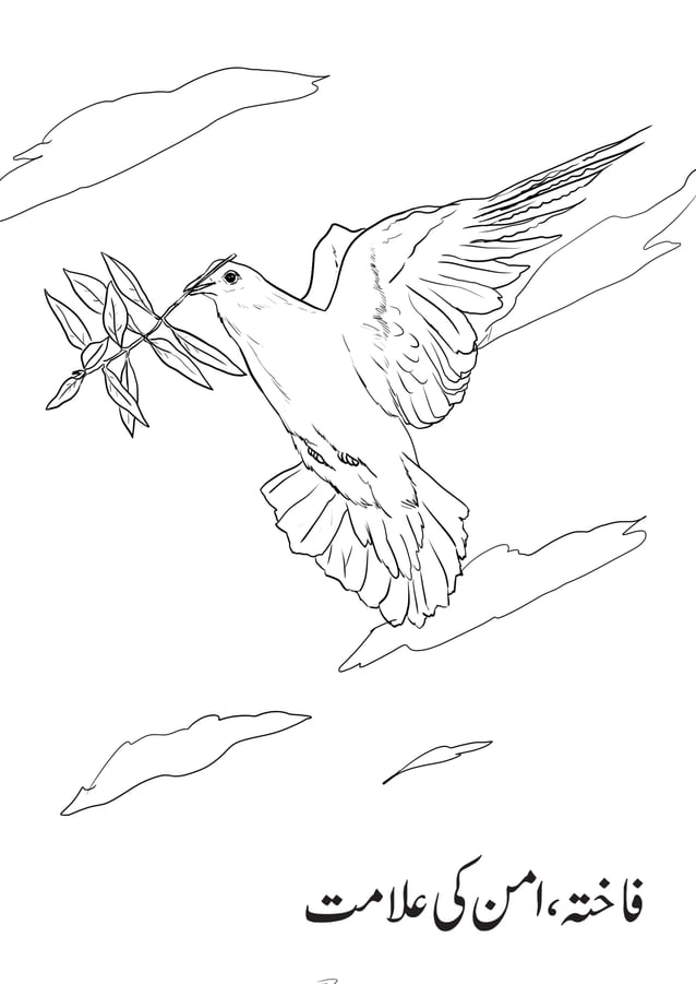 Knowledge about Pakistan Colouring book for kids | PDF