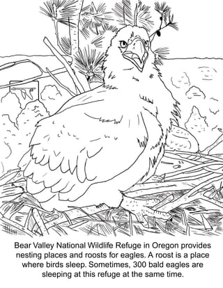 National Wildlife Refuge System Coloring Book | PDF