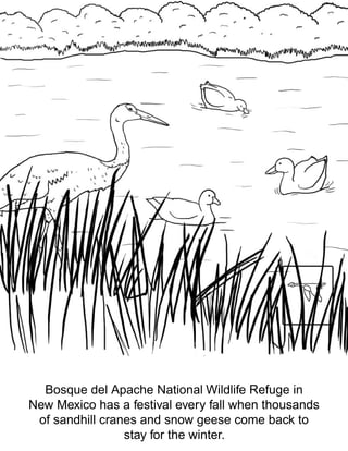 National Wildlife Refuge System Coloring Book | PDF