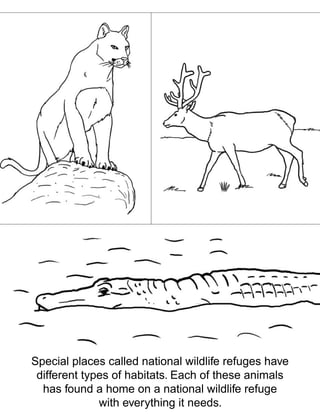National Wildlife Refuge System Coloring Book | PDF