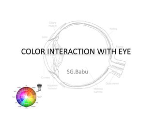 Color interaction with eye | PPT