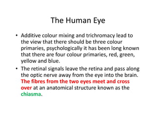 Color interaction with eye | PPT
