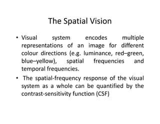 Color interaction with eye | PPT