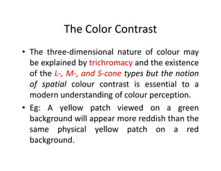 Color interaction with eye | PPT