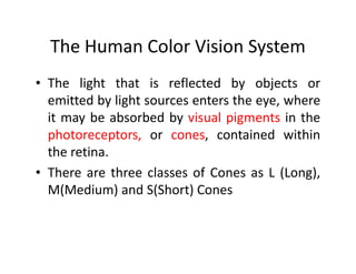 Color interaction with eye | PPT