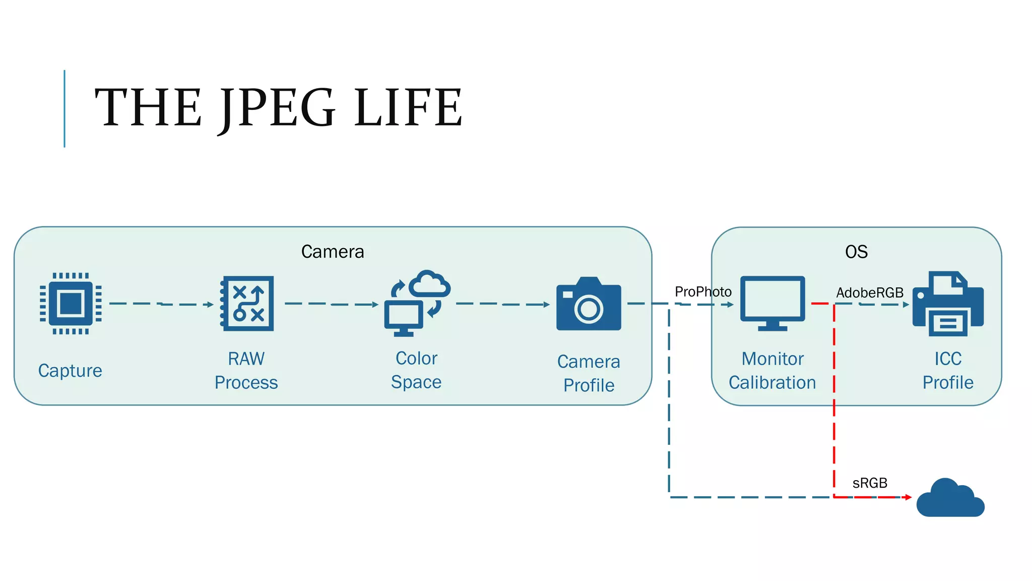 Color Life Cycle | PPT