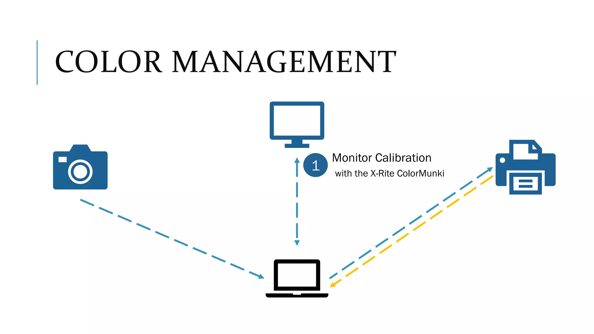 Color Life Cycle | PPT