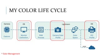 Color Life Cycle | PPT