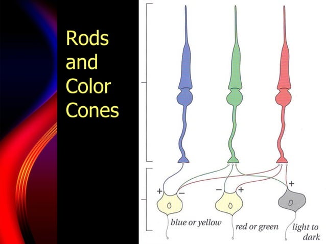 Colormanagement | PPT