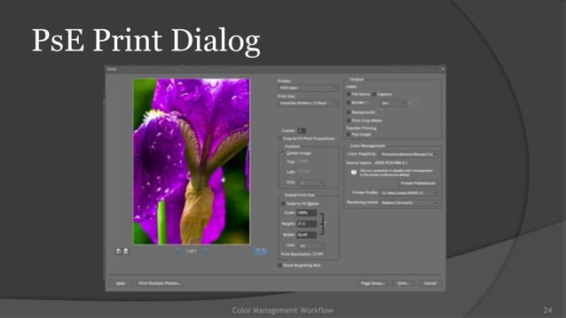 Color Management Workflow | PPT