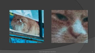 Color Management Workflow | PPTX