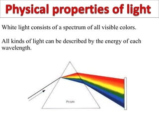Color Models Computer Graphics | PPTX