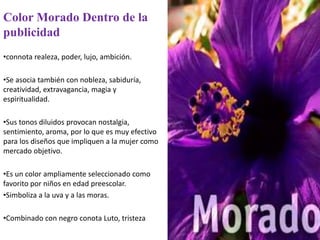 Color morado | PPTX