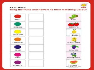 Color of Fruit for ESL/EFL | PPT