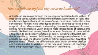 color presentation.pptx for grade 9 and grade 10 | PPTX | Eye and ...