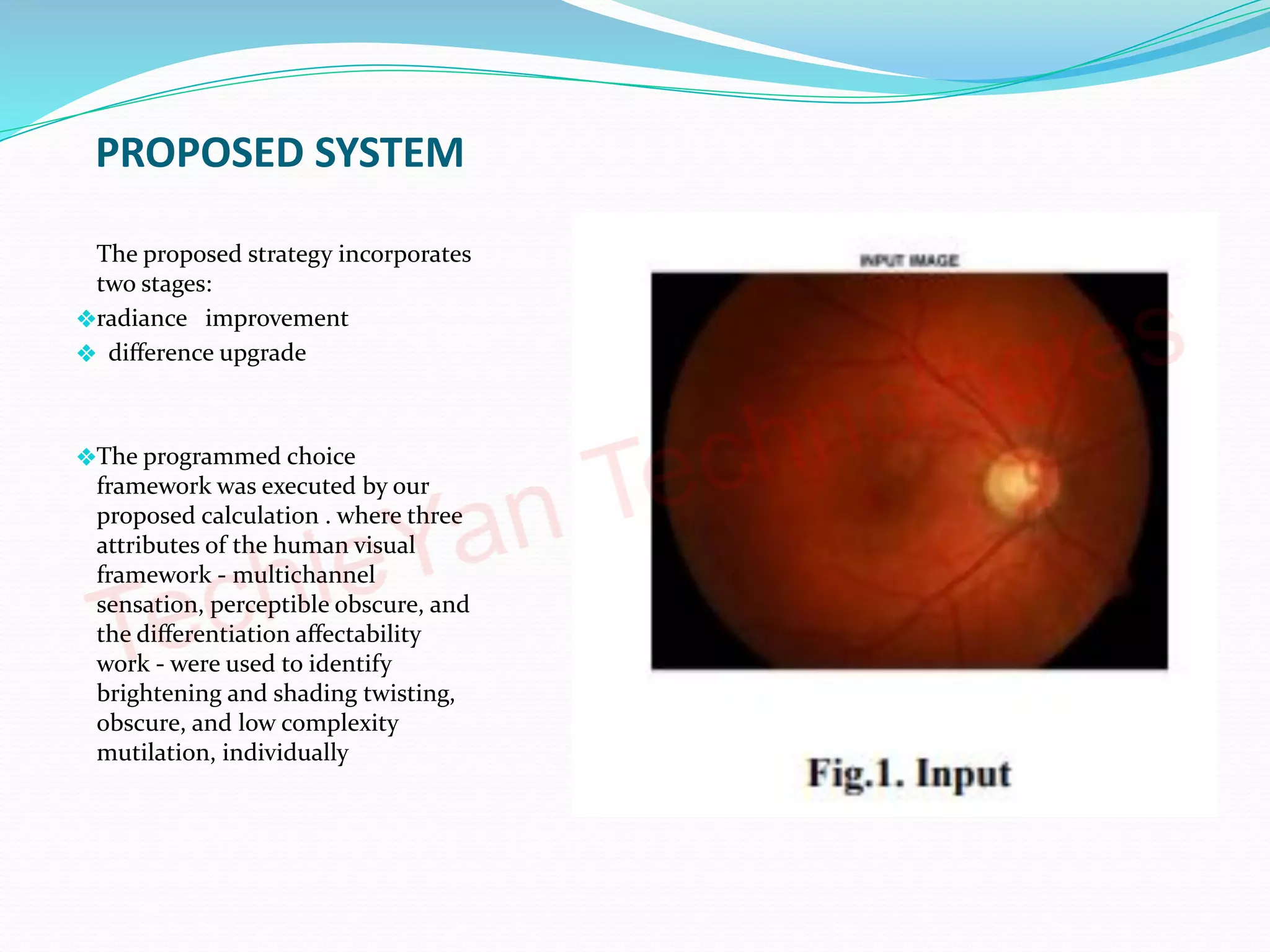 Detection of Retinal pigmentosa in paediatric age | PDF