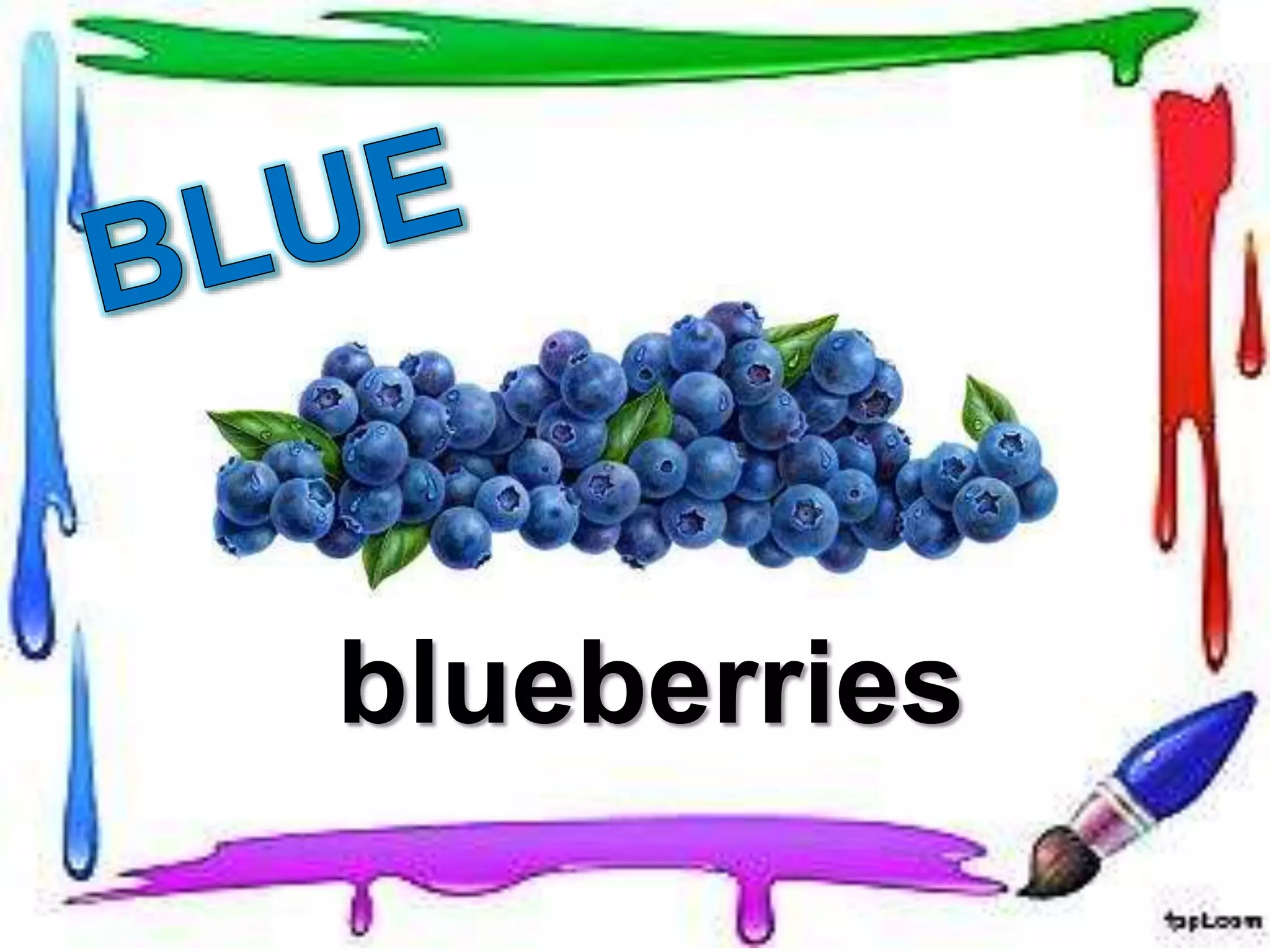 Colors for Kindergarten | PPTX