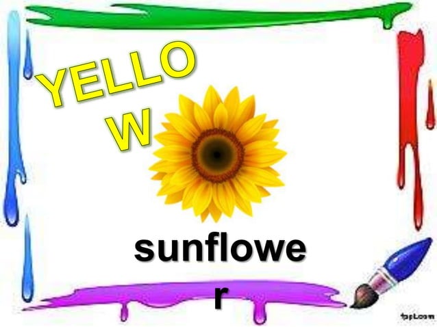 Colors for Kindergarten | PPTX