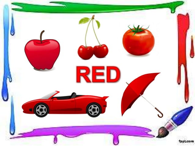 Colors for Kindergarten | PPTX