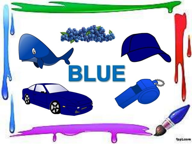 Colors for Kindergarten | PPTX