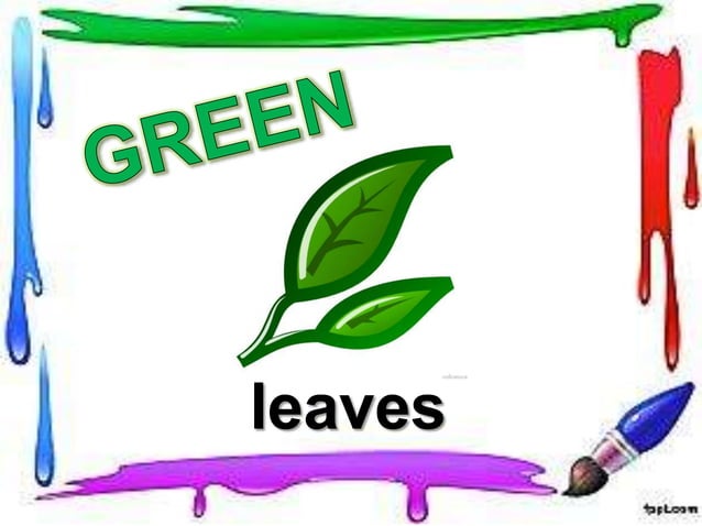 Colors for Kindergarten | PPTX