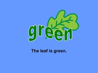 colors-esl-powerpoint.ppt