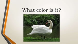 colors-flashcards-picture-description-exercises-picture-d_84623.pptx